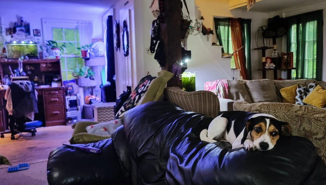 One of her comfy spots | Scrolller