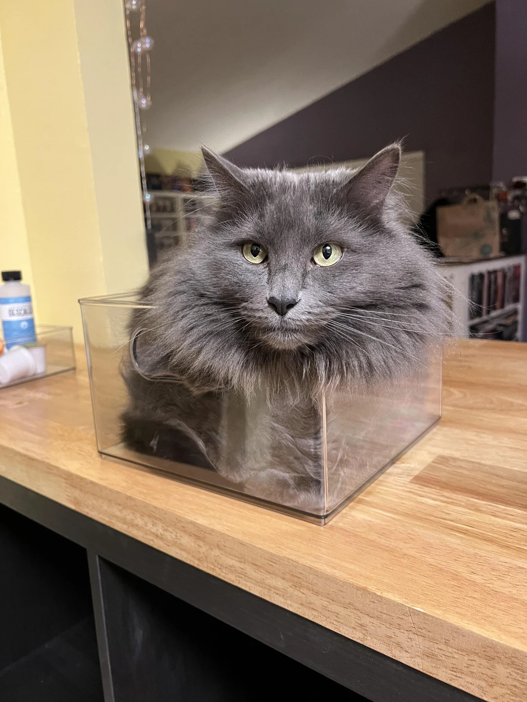 Restocking interrupted. | Scrolller