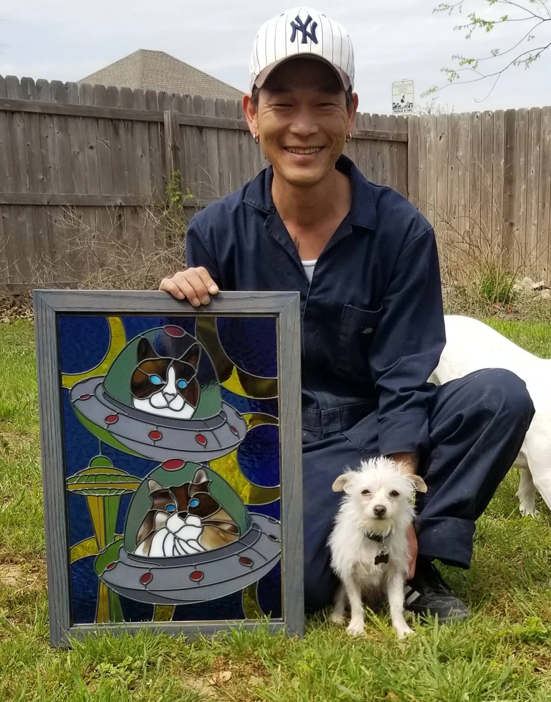 I made some cats in flying saucers | Scrolller