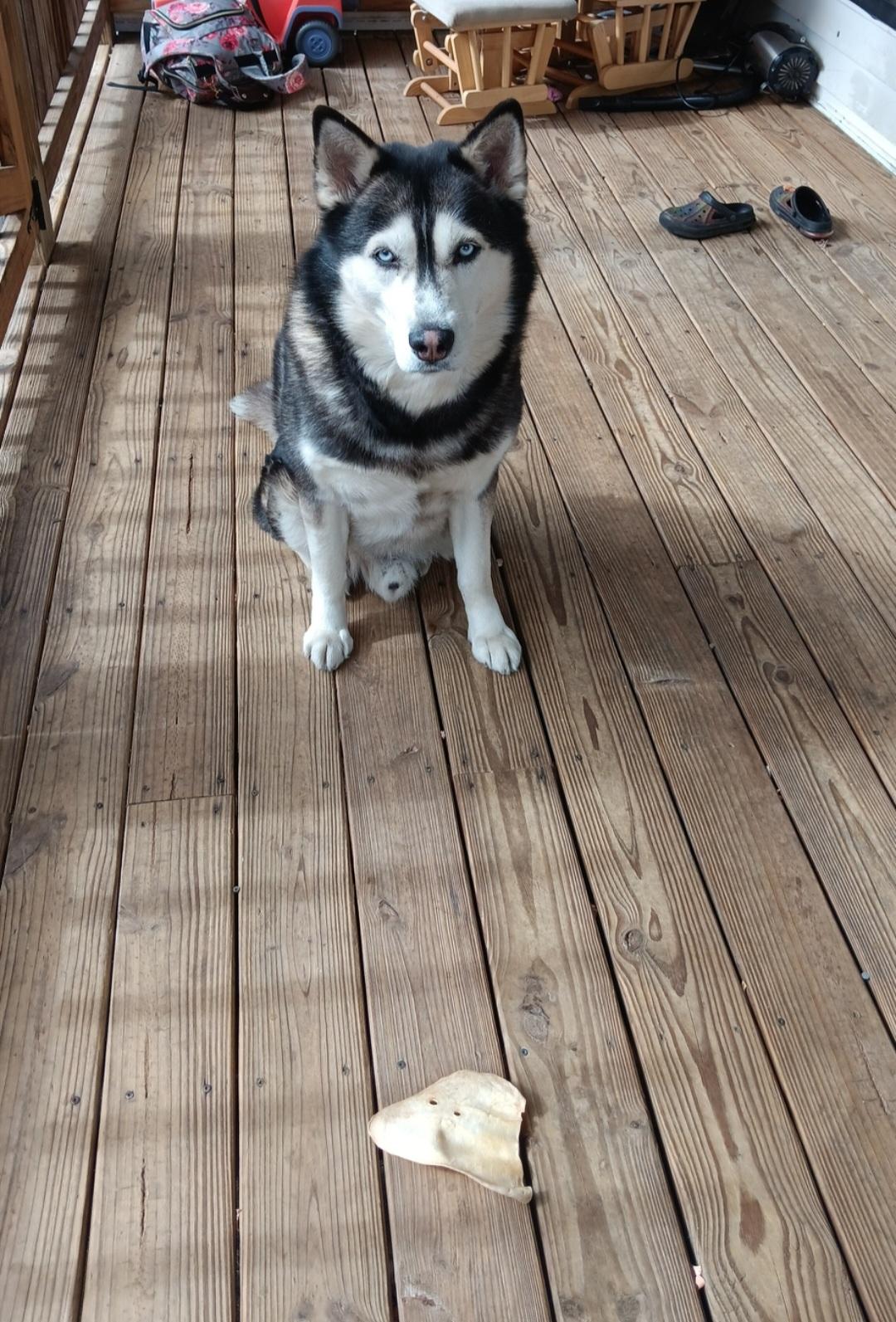 Astro 💙 | Scrolller