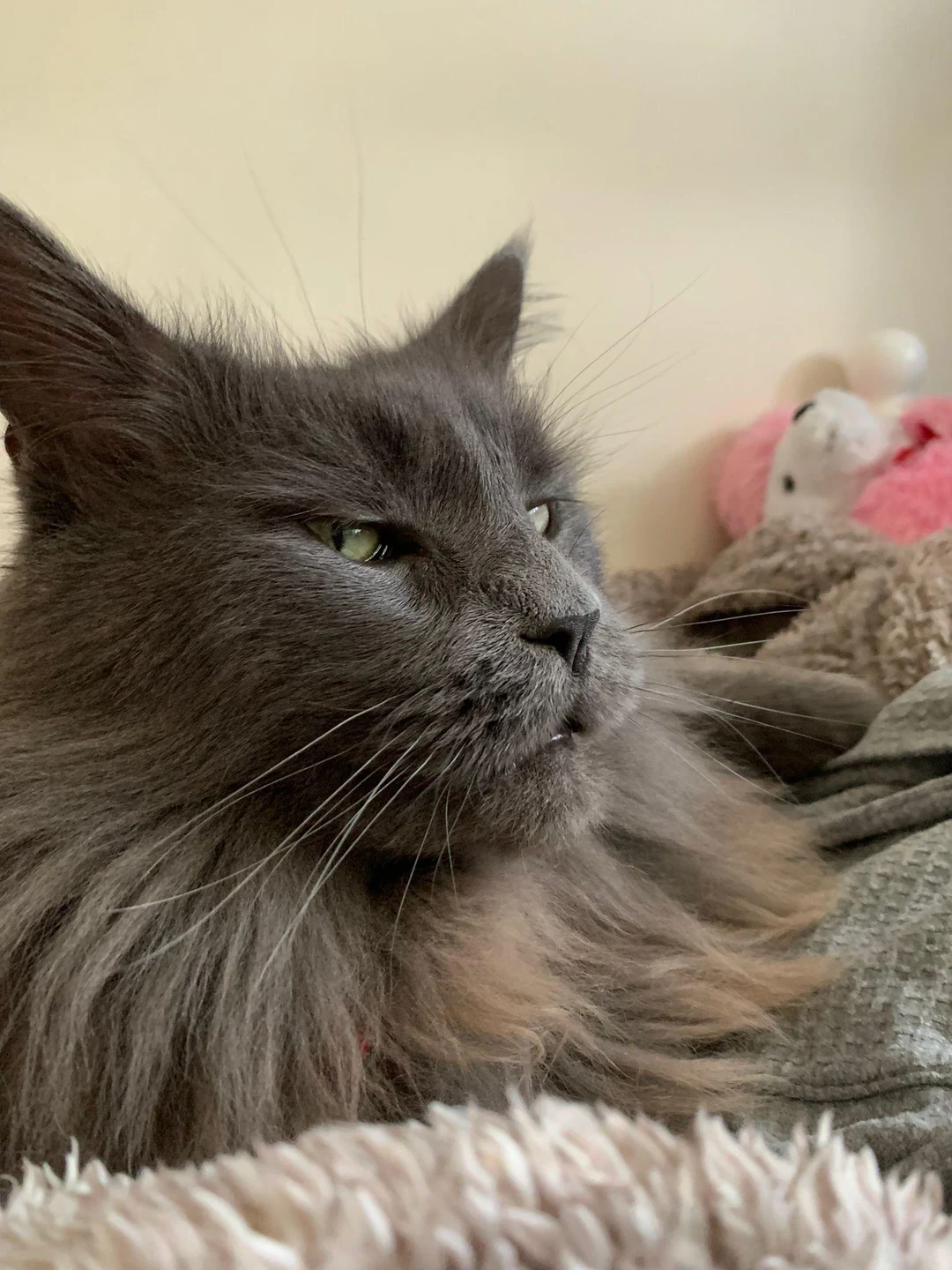 Nonchalant Side Eye | Scrolller