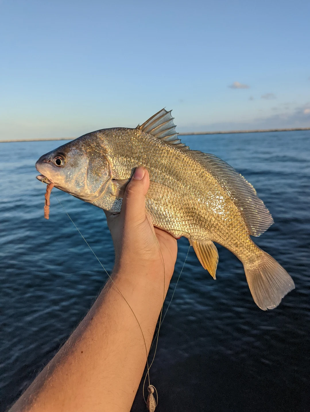 Drum on Erie | Scrolller