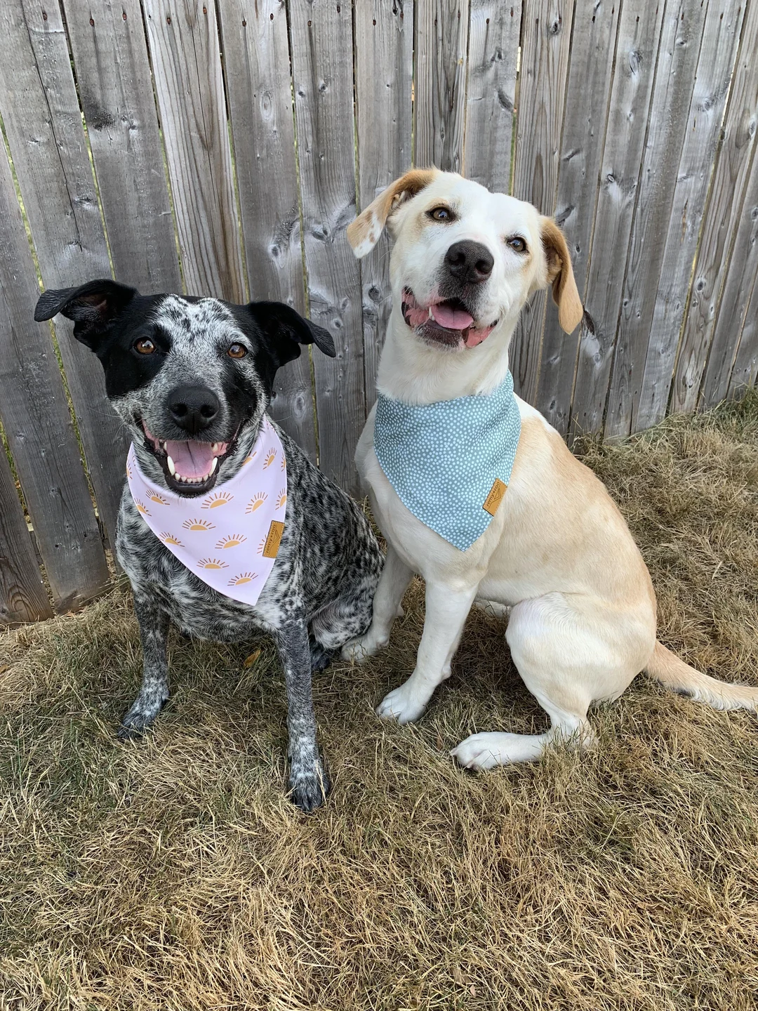 Nothing to see here, just a couple of fashion models | Scrolller