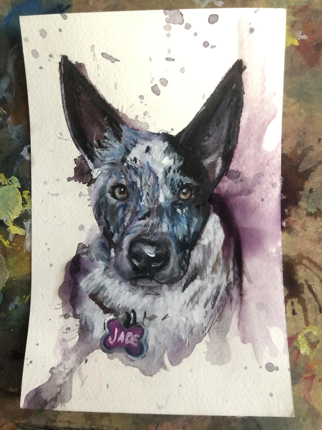 This is Jade. There’s just something about cattle dogs. | Scrolller