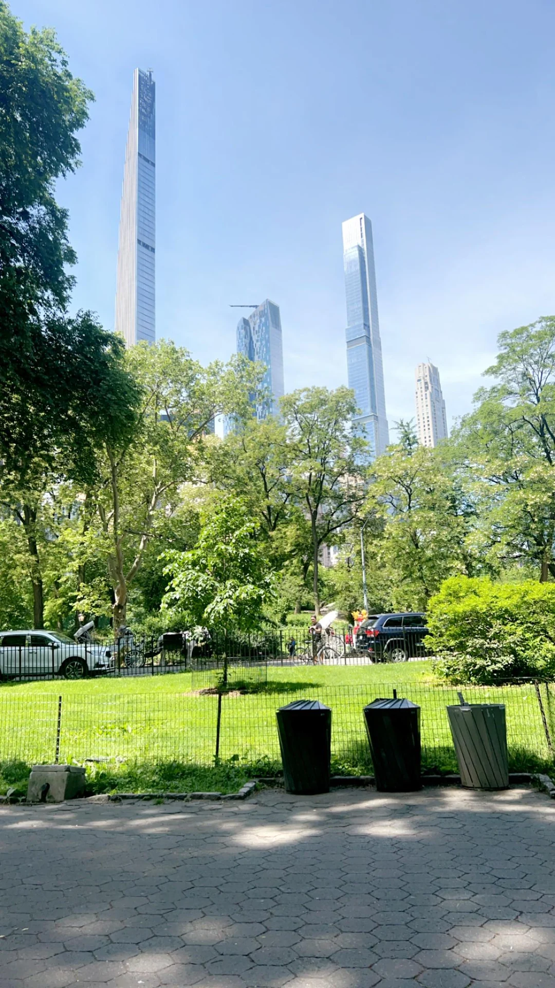 Panic in Central Park | Scrolller