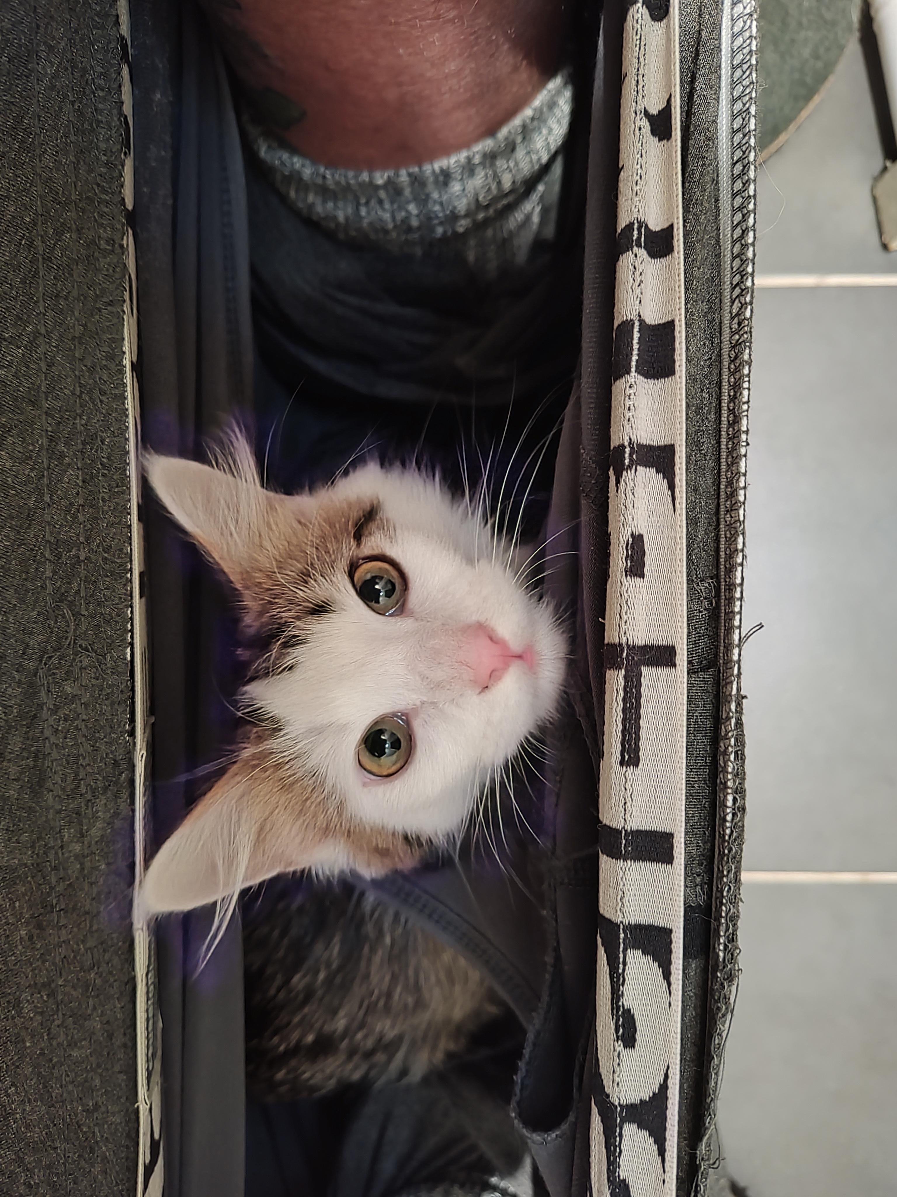 Privacy is a thing of the past since I adopted Jasper... | Scrolller