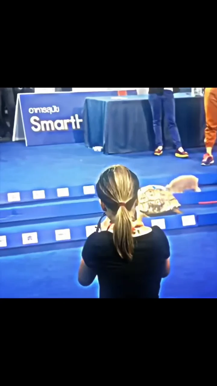 Slow and steady 😎 ☕️ | Scrolller