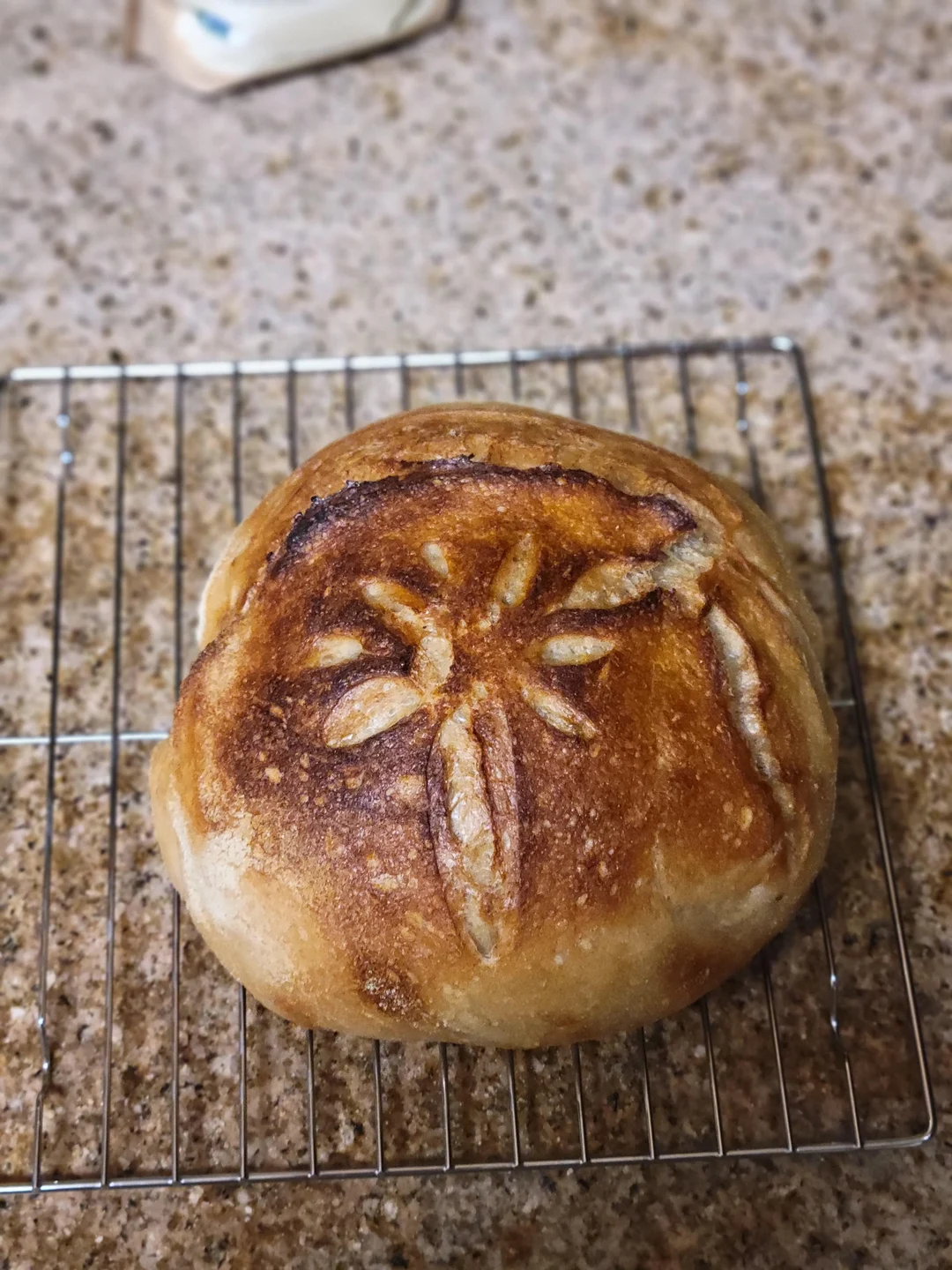 Learning and improving with every loaf | Scrolller