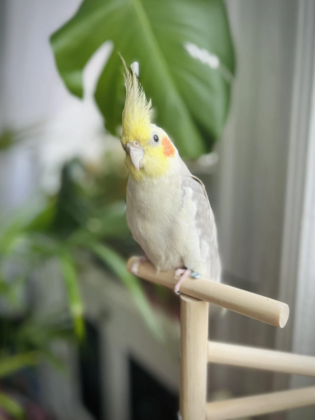 Only makes noise at night | Scrolller