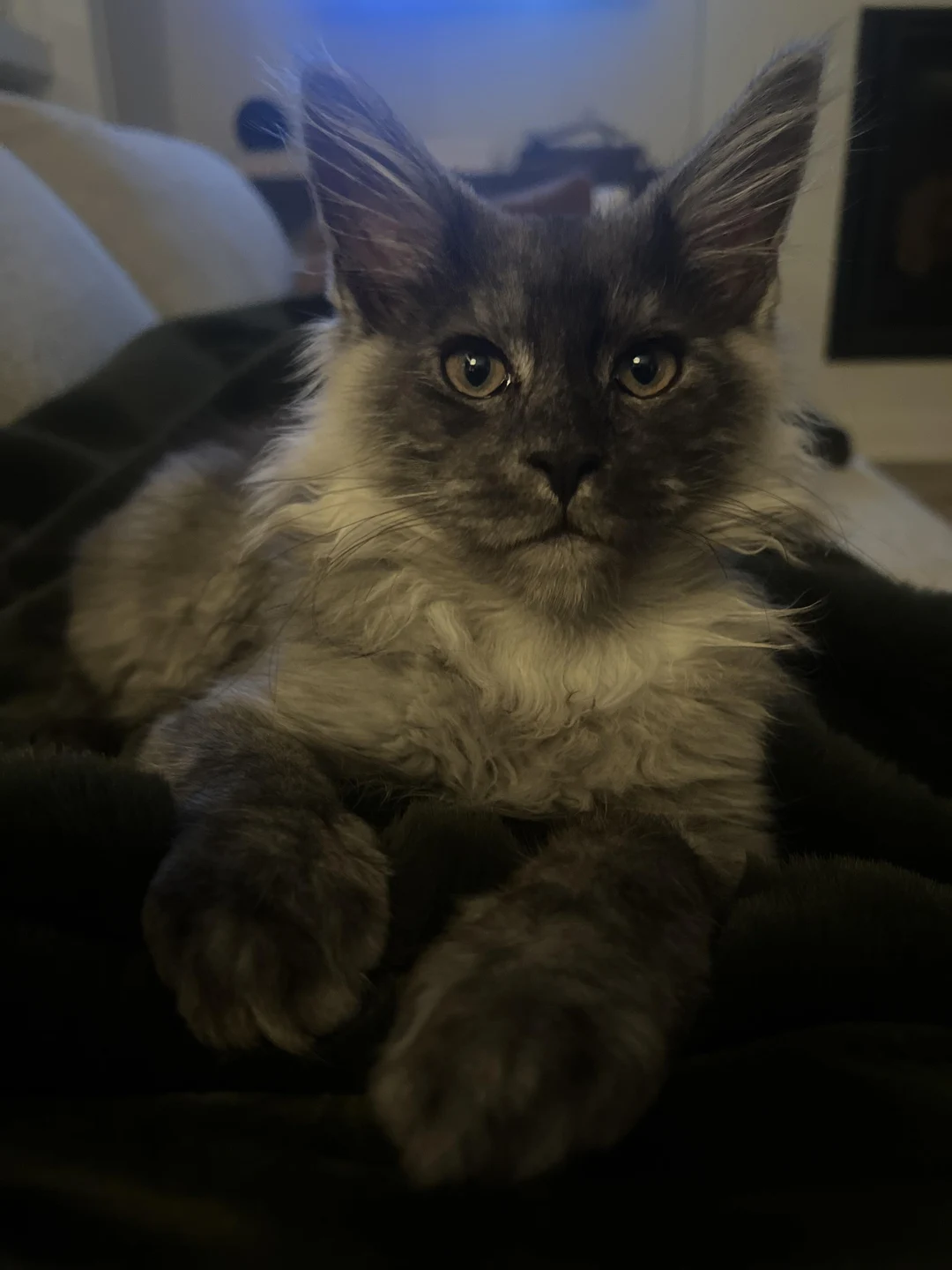 Roger Moore / 15 weeks | Scrolller