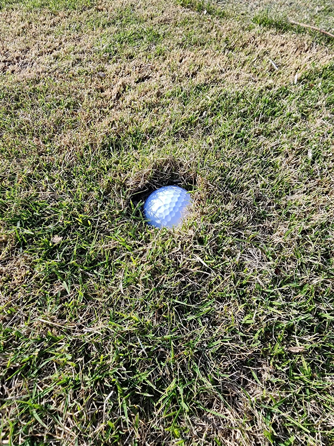 What's the ruling here? | Scrolller