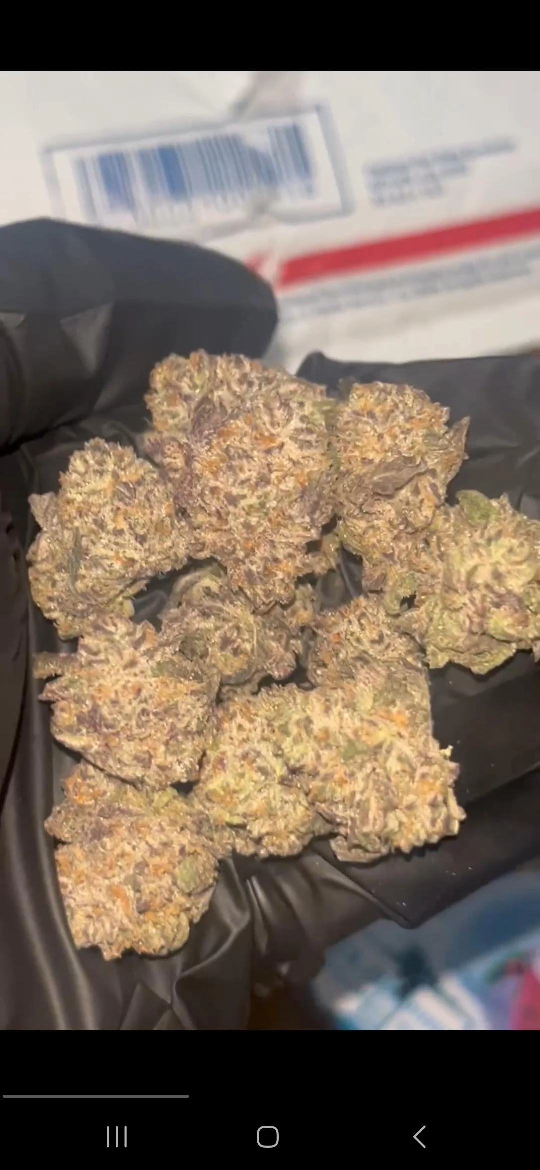 Is it just me or does the bud look weird | Scrolller