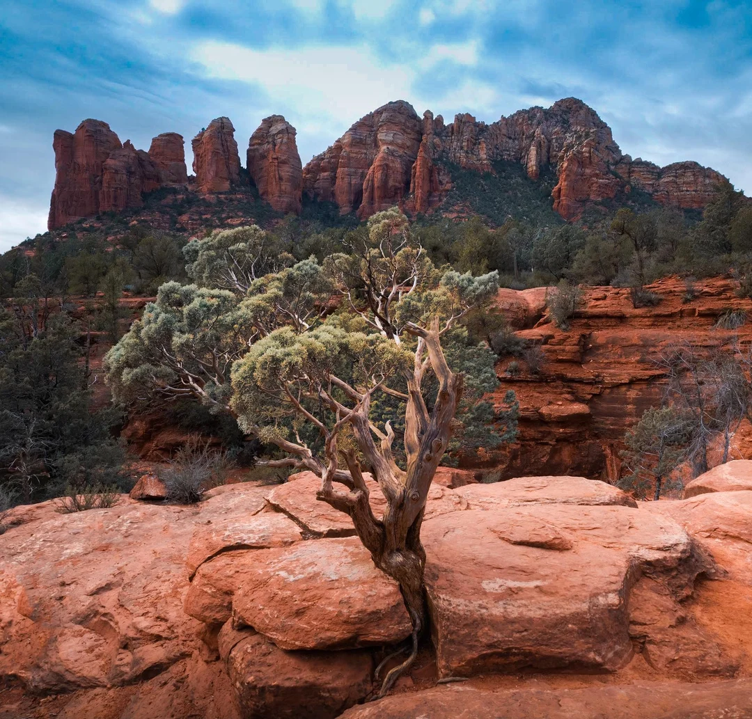 Tenacity - Sedona AZ, USA [OC][2560x1705] | Scrolller