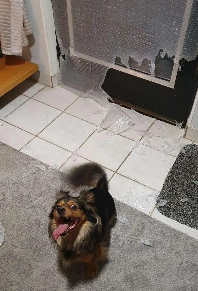 Nothing wrong here | Scrolller