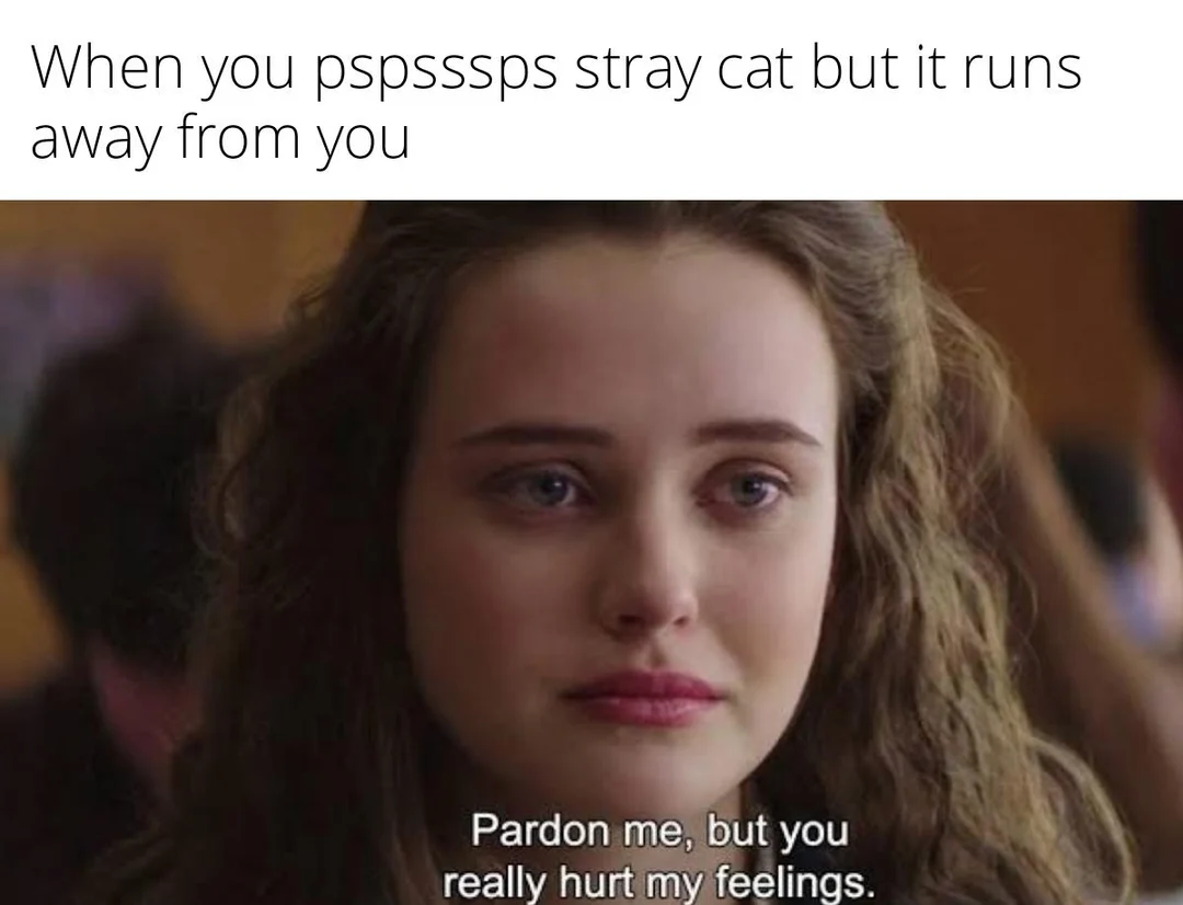 Rejection from car :'( | Scrolller