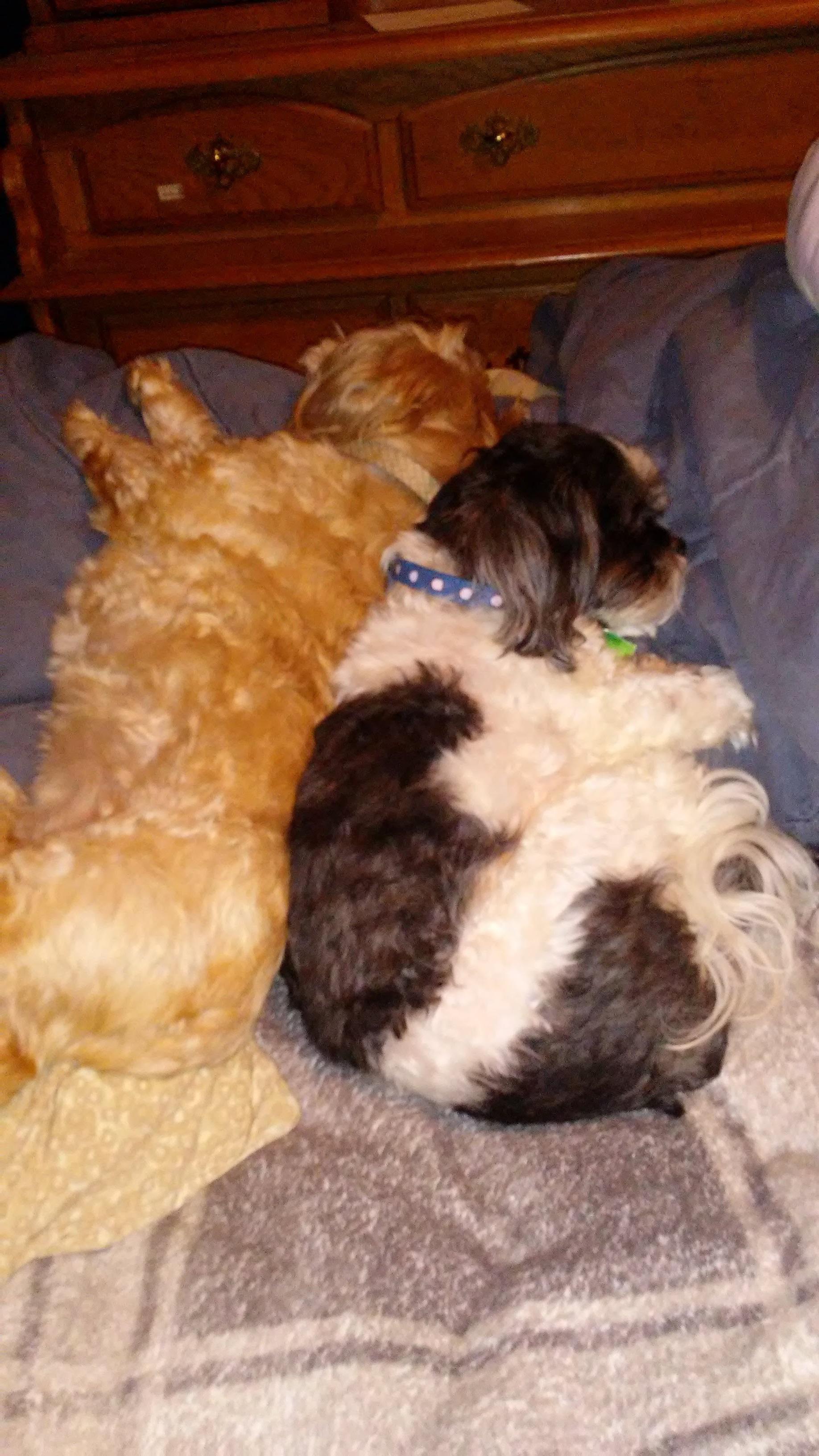 They were best buds! | Scrolller