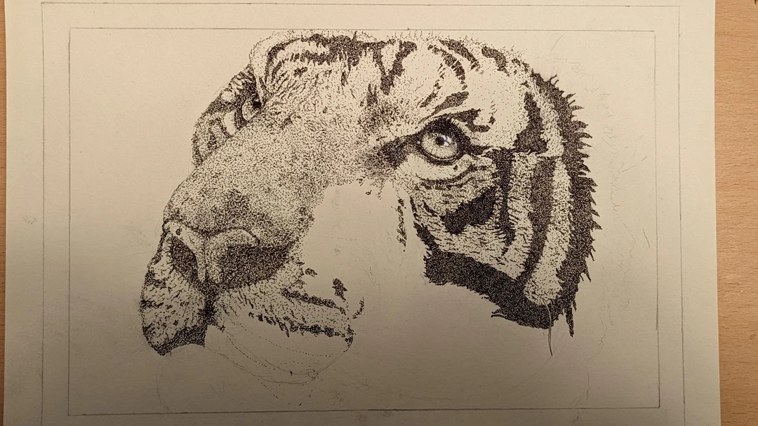 Tiger, Adam/Me, Pen, 2023 | Scrolller