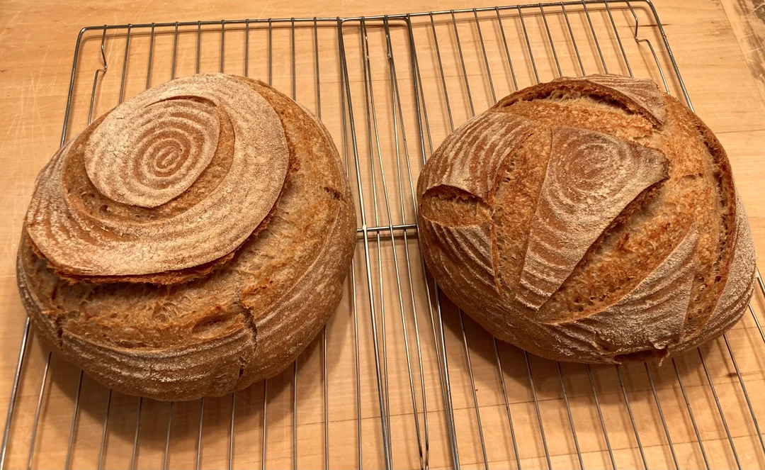 sourdough white/whole wheat/rye 70% hydration | Scrolller