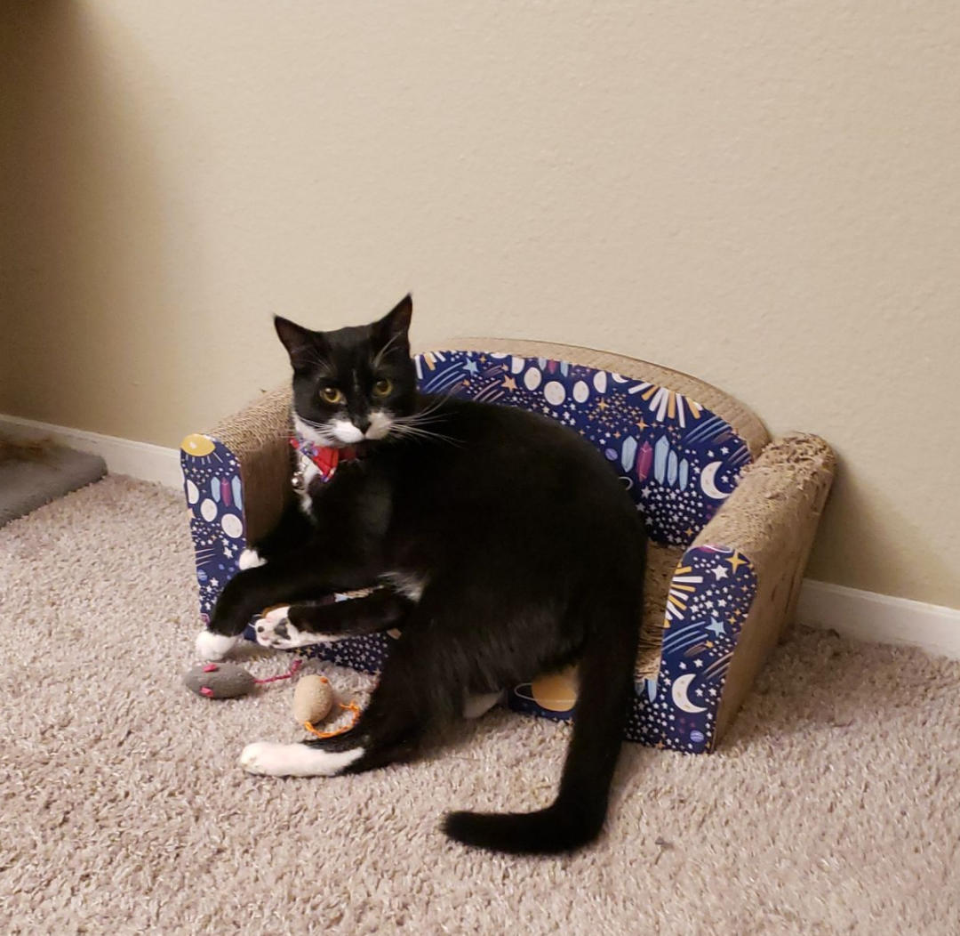 Suspects apprehended | Scrolller