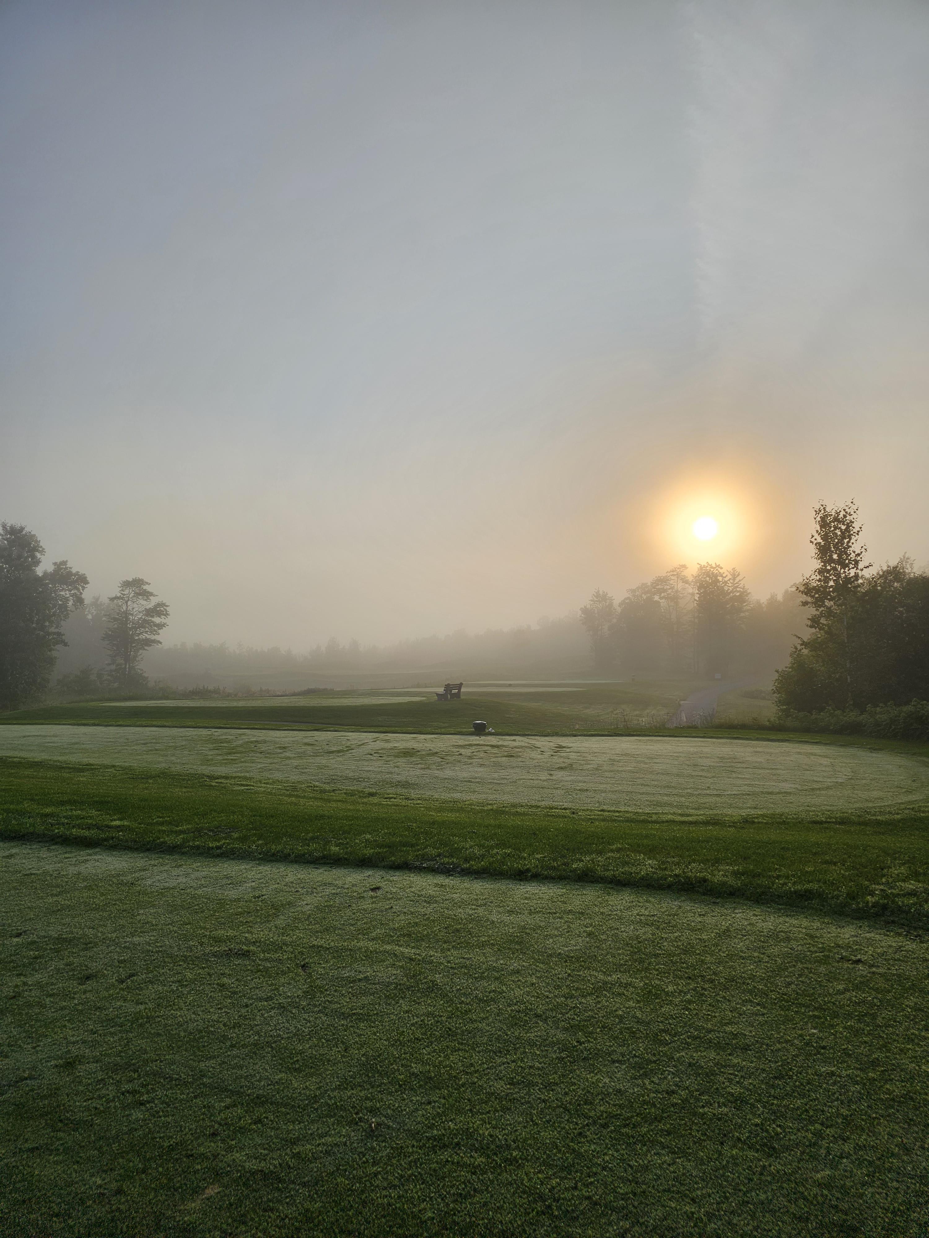 Par 3, can't see the pin :( | Scrolller