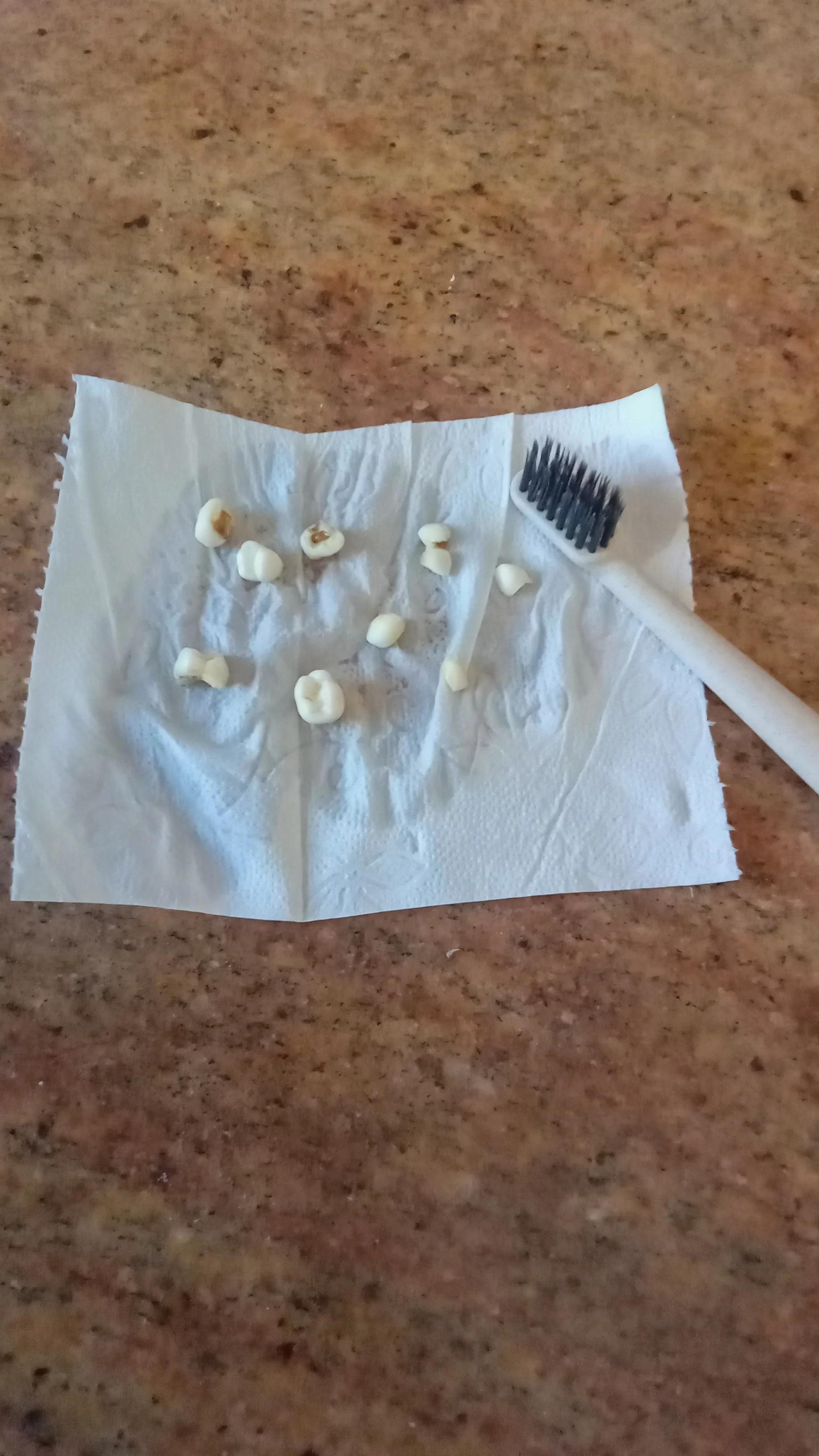 Don't mind me, just brushing my teeth :) | Scrolller