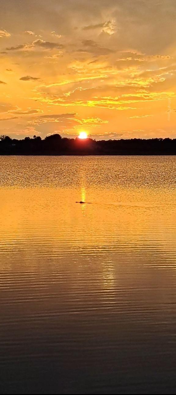 Gator Sunset | Scrolller