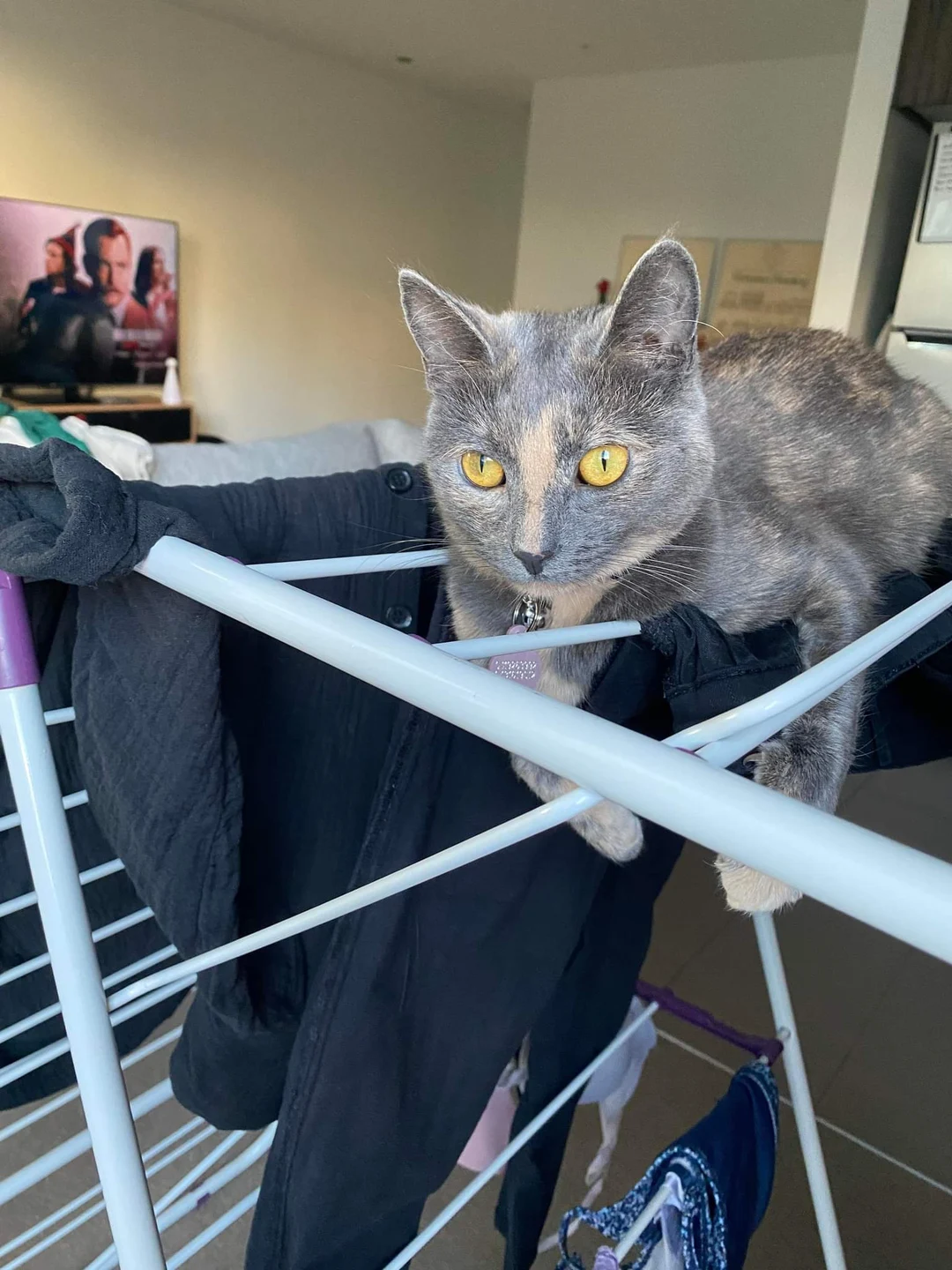 So comfy | Scrolller