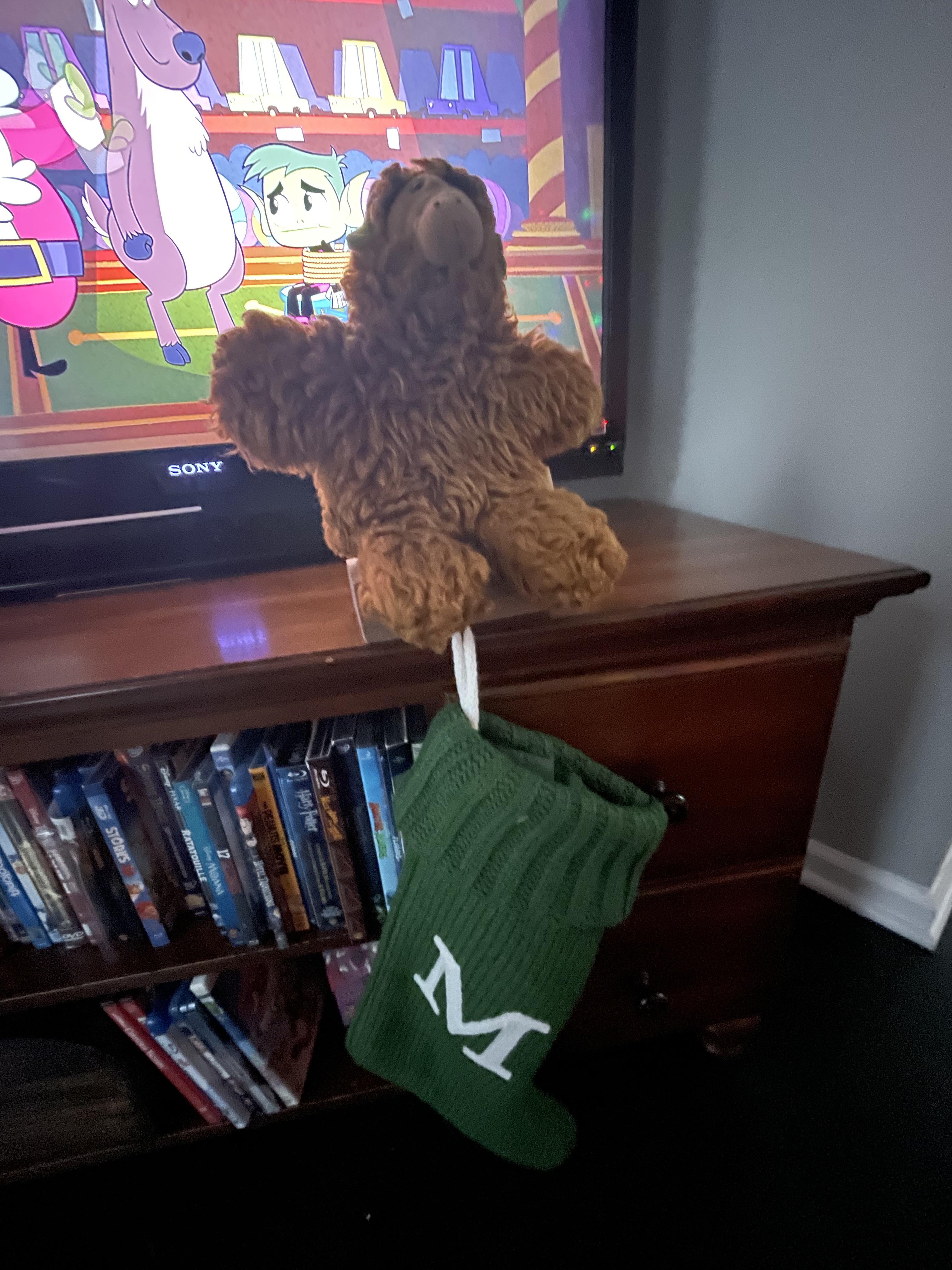 Got my Alf on the Shelf up | Scrolller