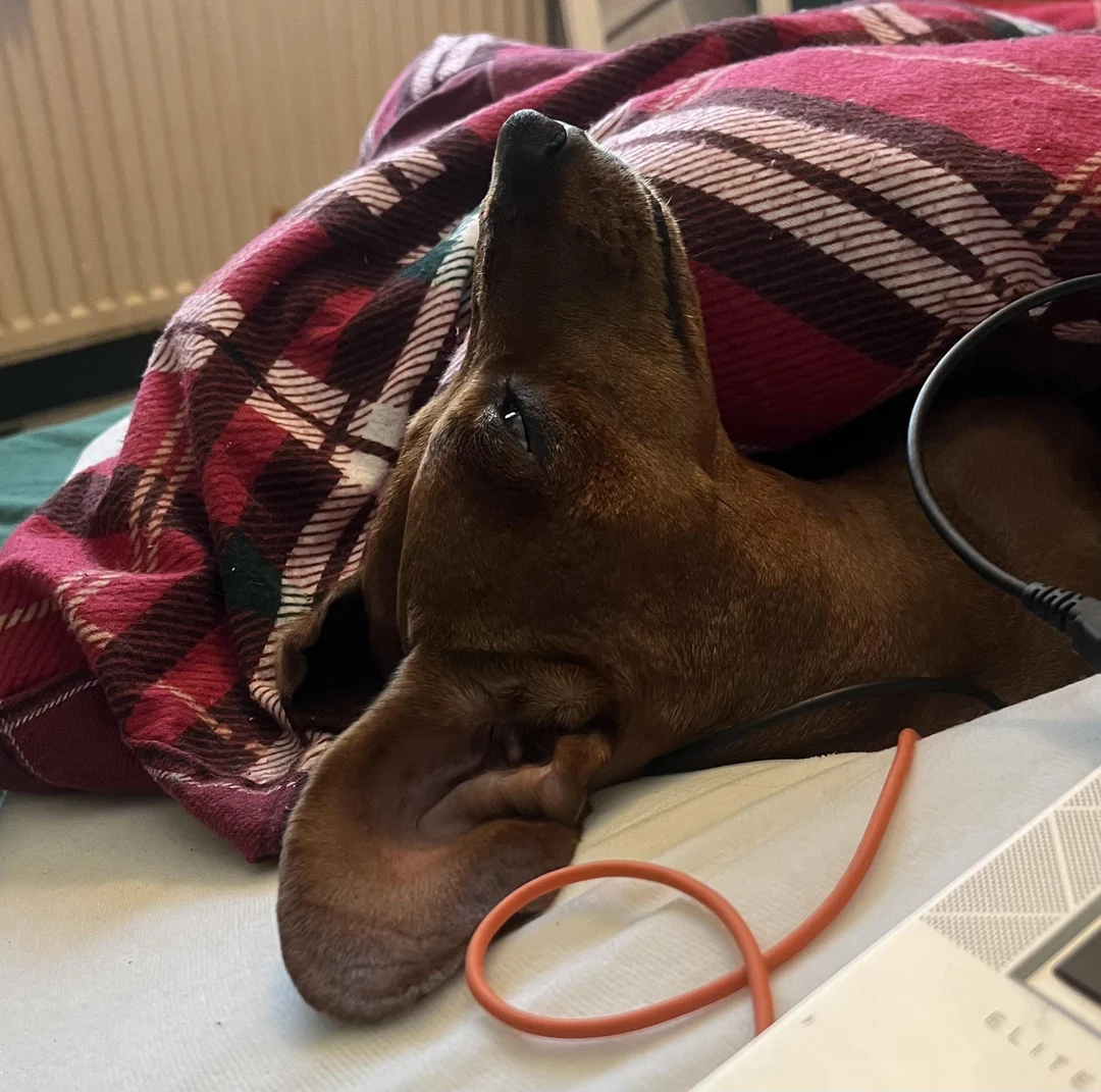 Merlin’s existential crisis | Scrolller