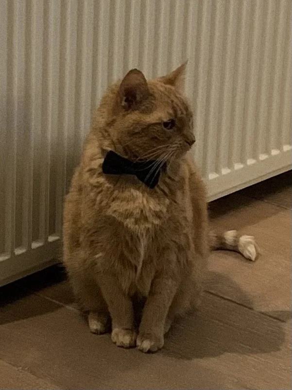 Your table is ready sir! | Scrolller