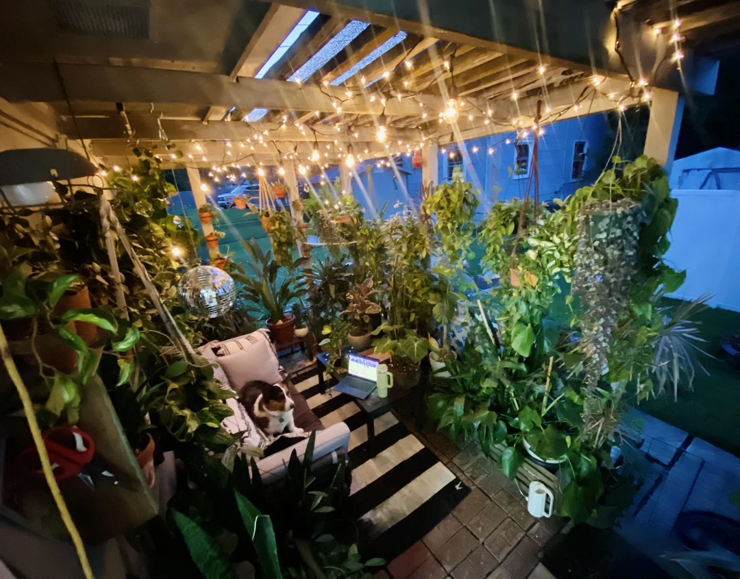 Our little patio is the place to be | Scrolller