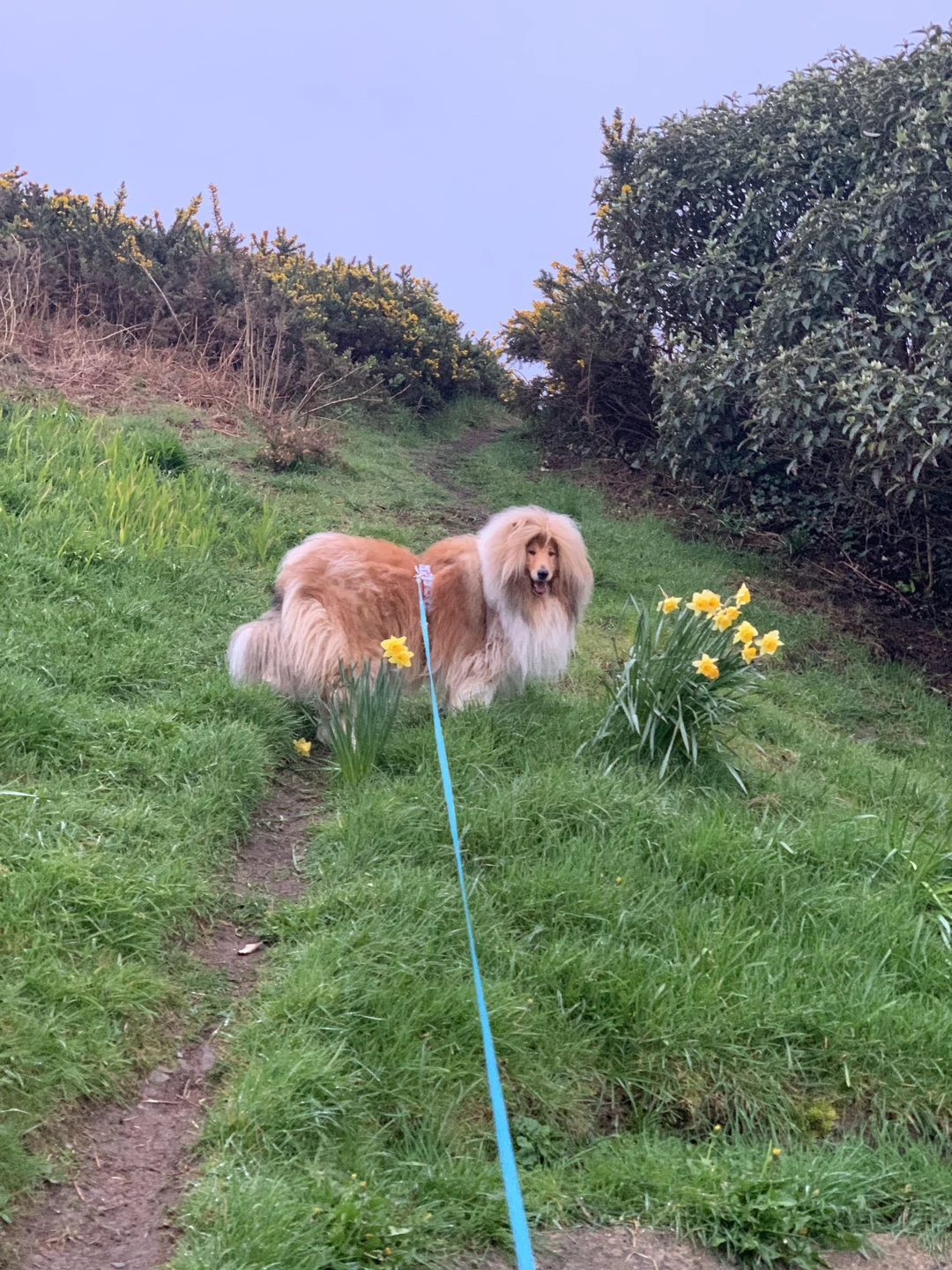 Lead the way | Scrolller