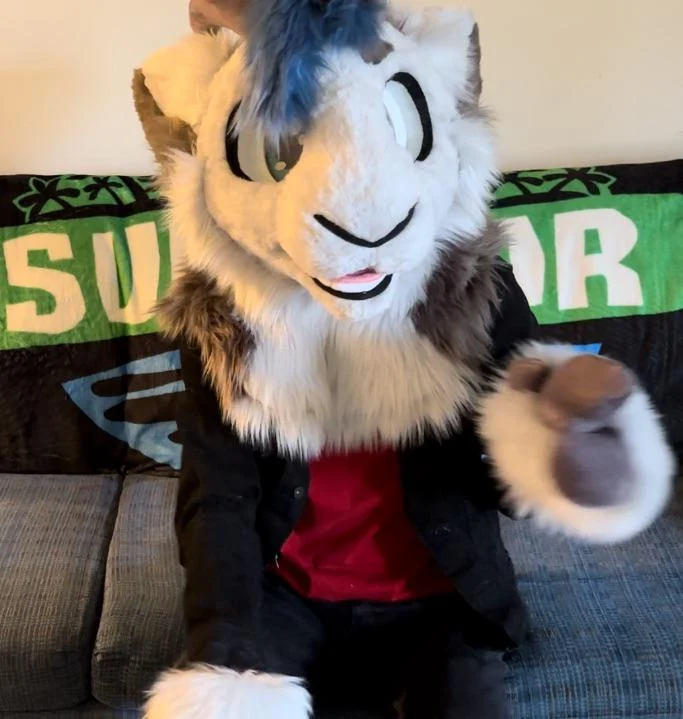 My fursuit finally arrived!! | Scrolller