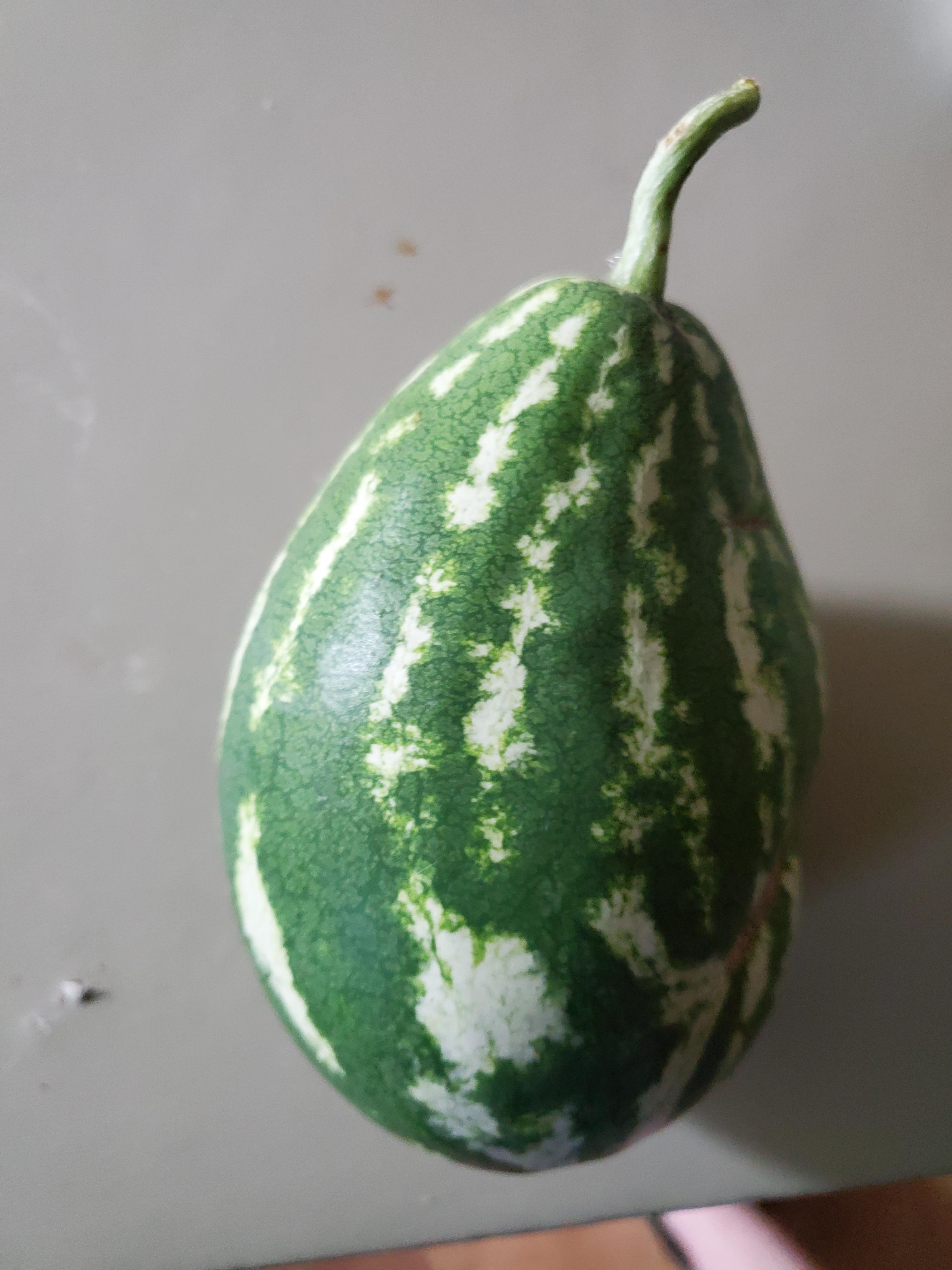 Tried my best at growing watermelon | Scrolller