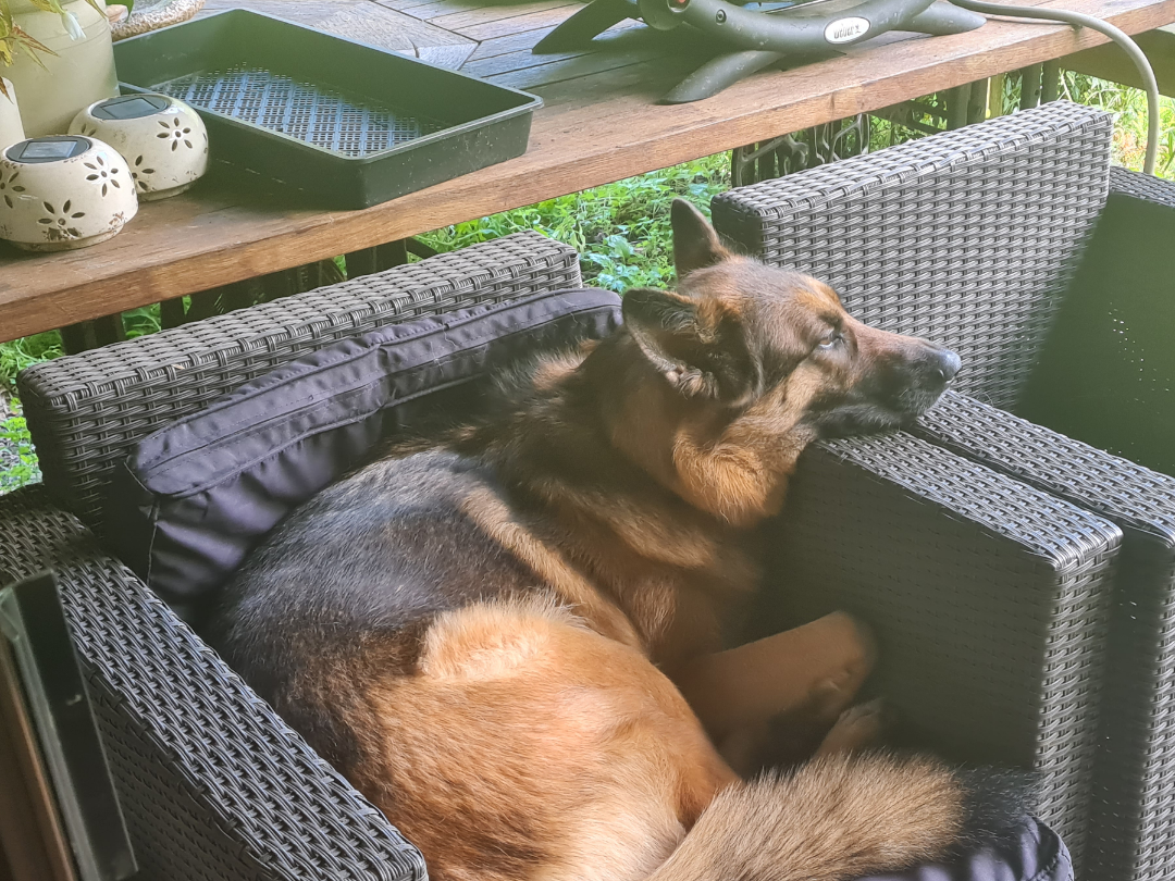 Just chillin | Scrolller