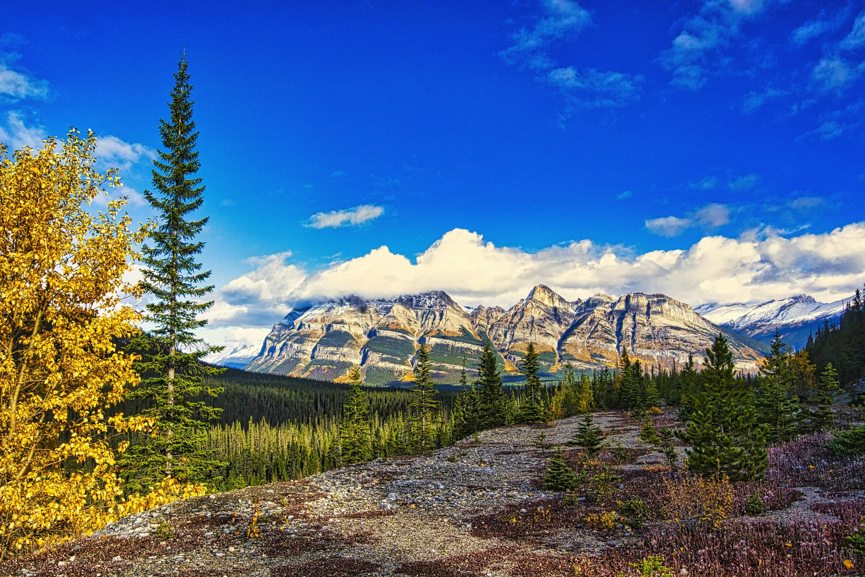 Mount Wilson, Icefield Parkway, Rockies, AB [OC] [6000 x 4000] | Scrolller