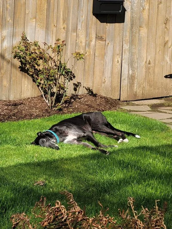 Recharging ☀️ | Scrolller