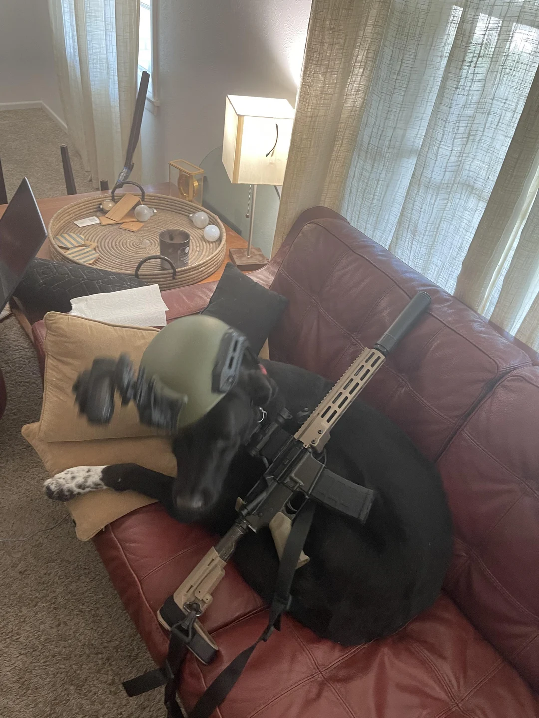 Outside the wire | Scrolller