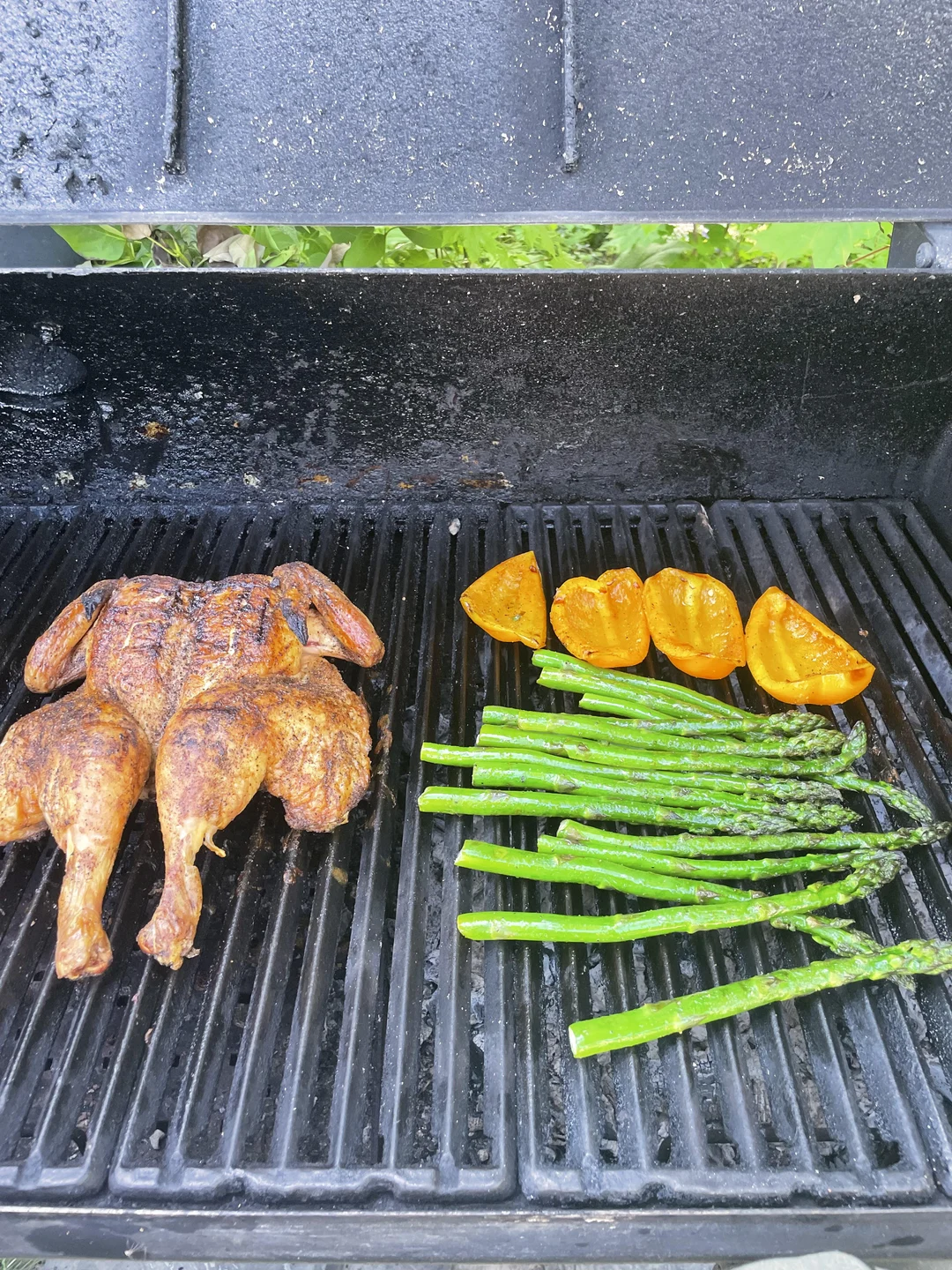 Delicious Chicken | Scrolller