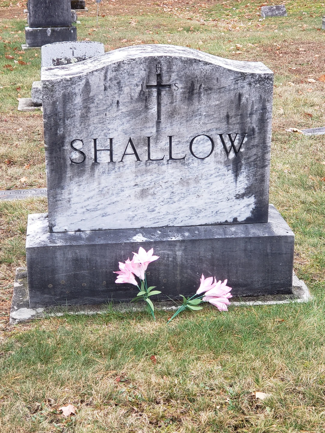 shallow grave | Scrolller