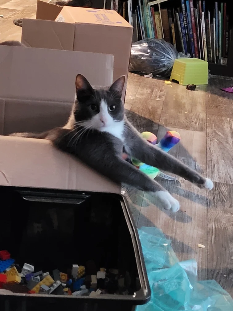 Our derpy Sully | Scrolller