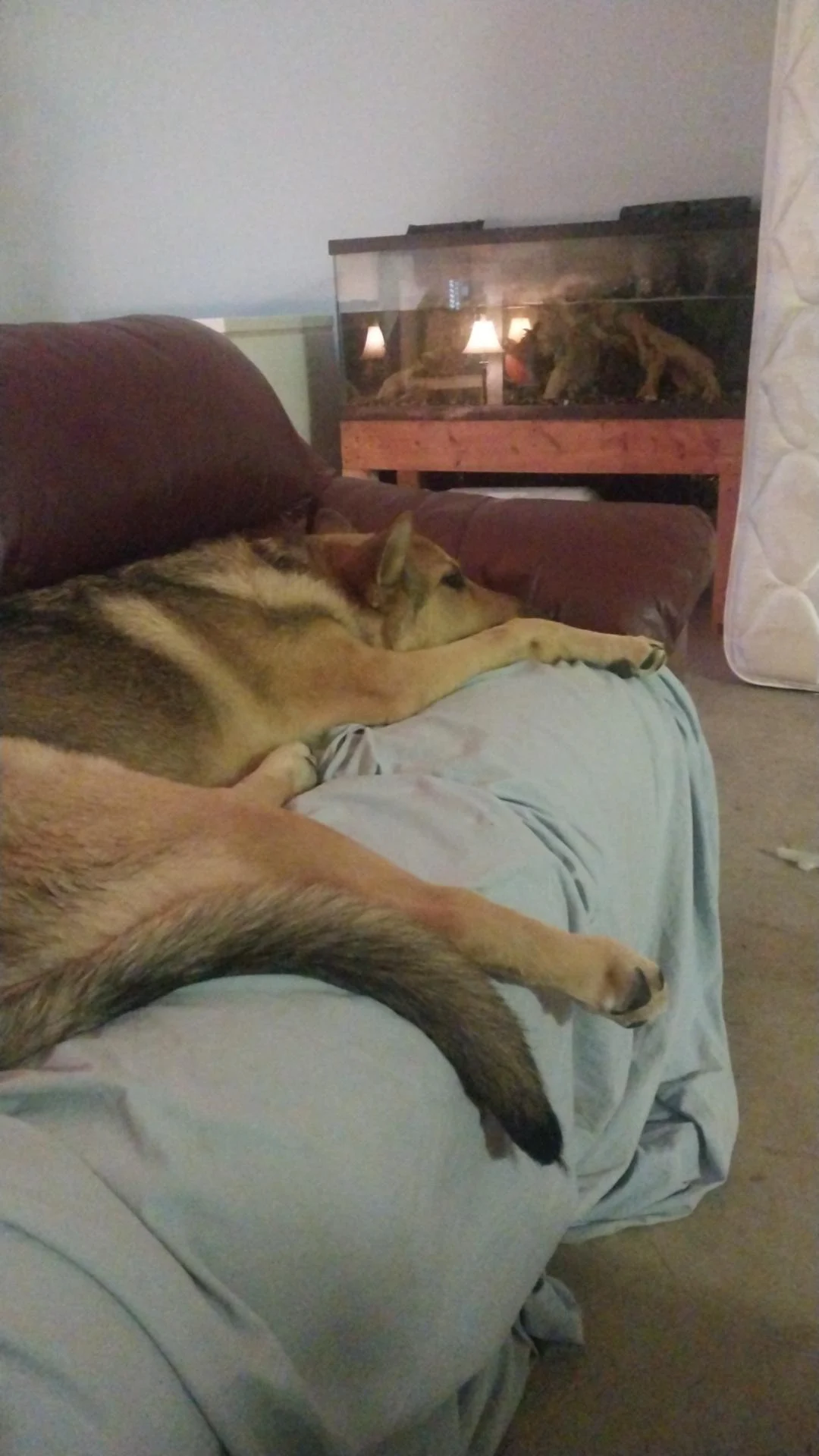 Blitz chilling | Scrolller