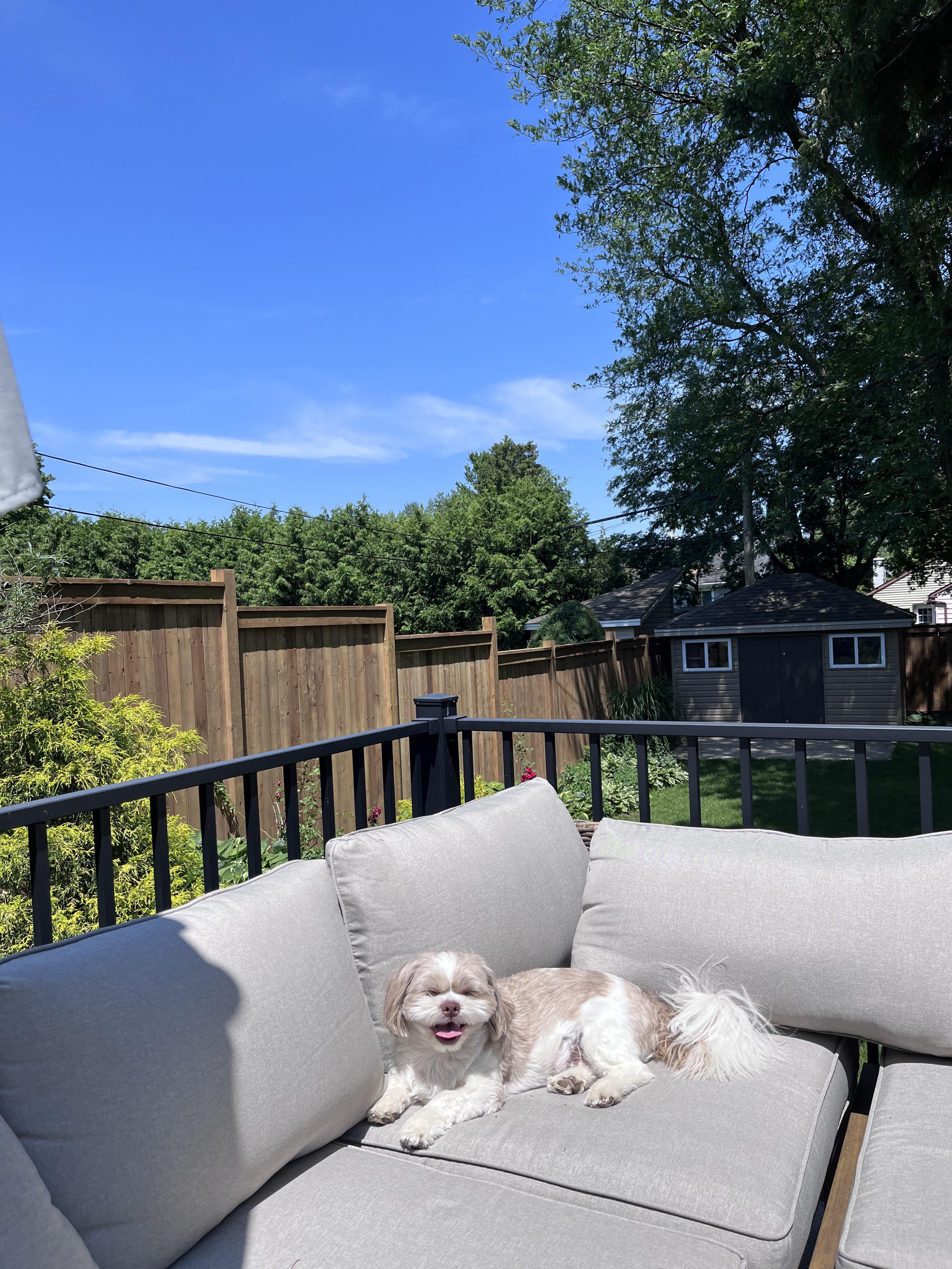 Sunshine Stanley | Scrolller