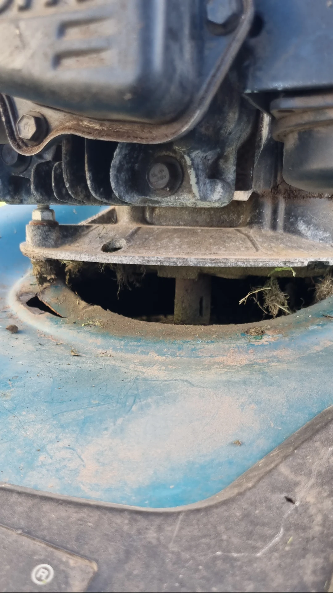 Mower died | Scrolller