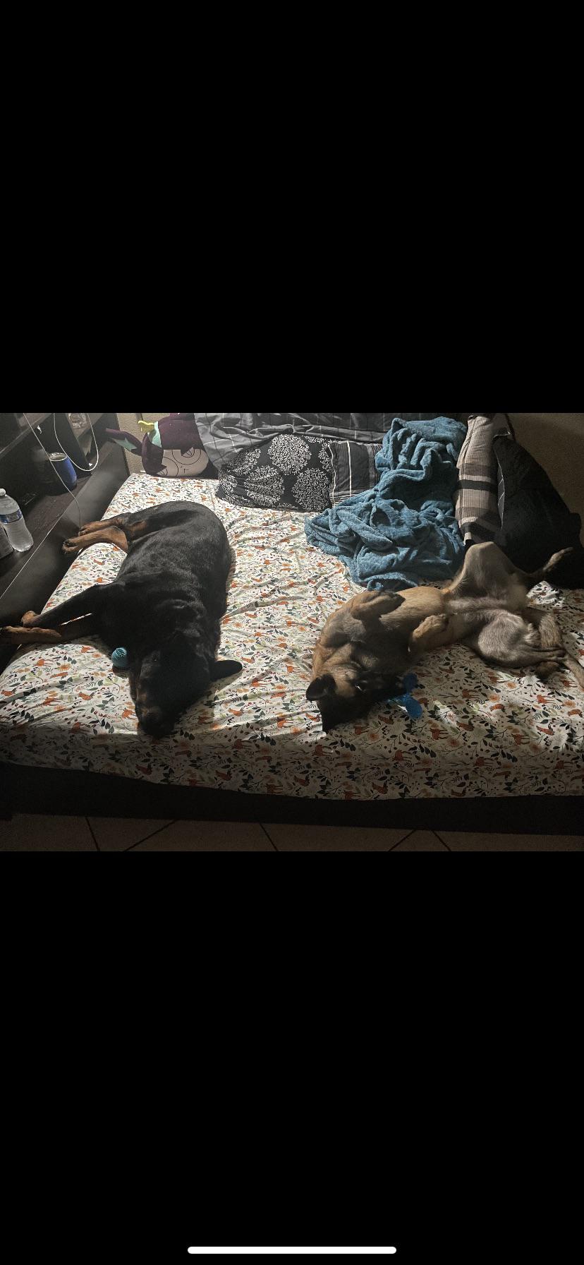 Well looks like I’m sleeping on the couch again 🥺 | Scrolller