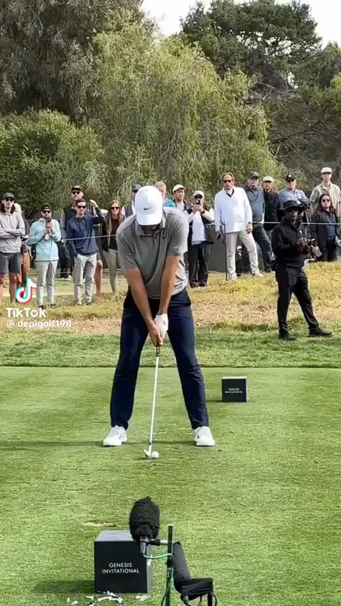 Majestic swing | Scrolller