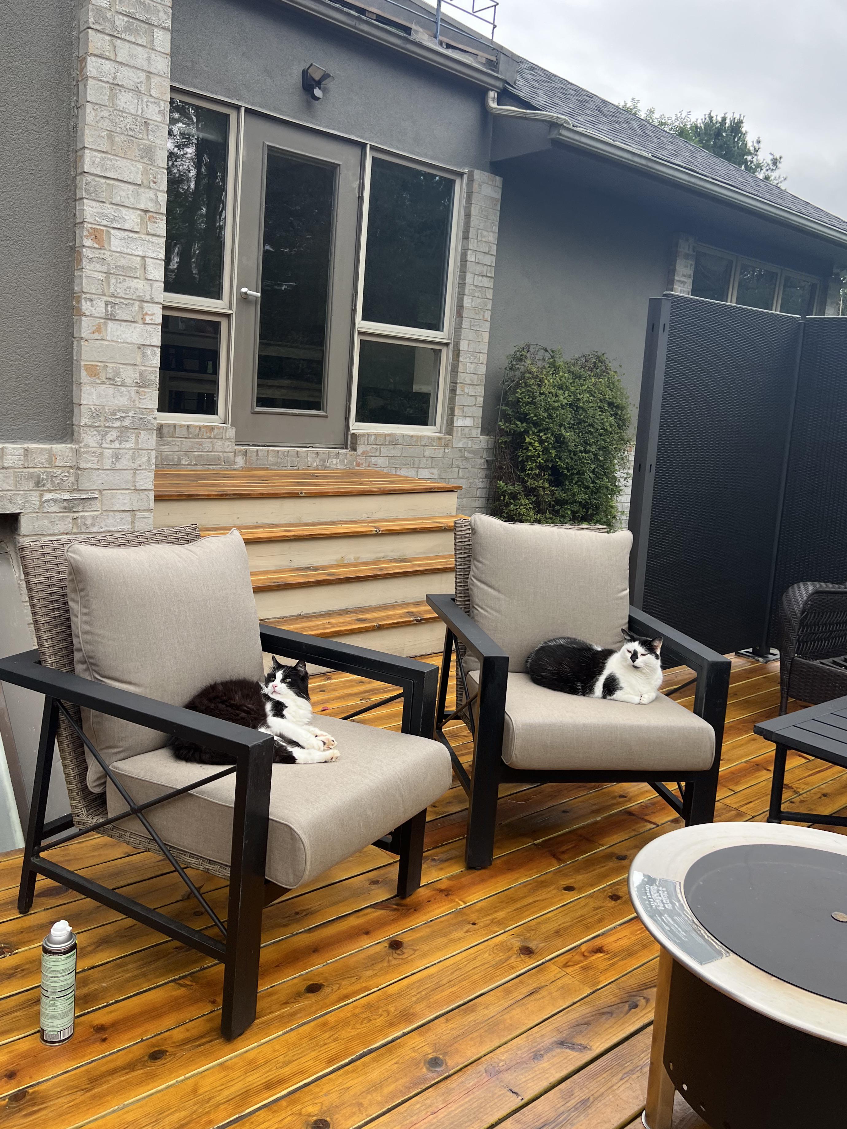 Tuxs on the deck | Scrolller