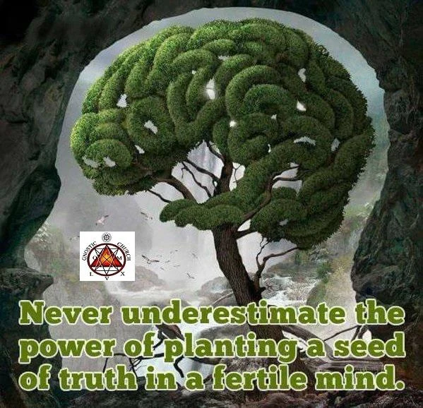 Fertile Mind | Scrolller