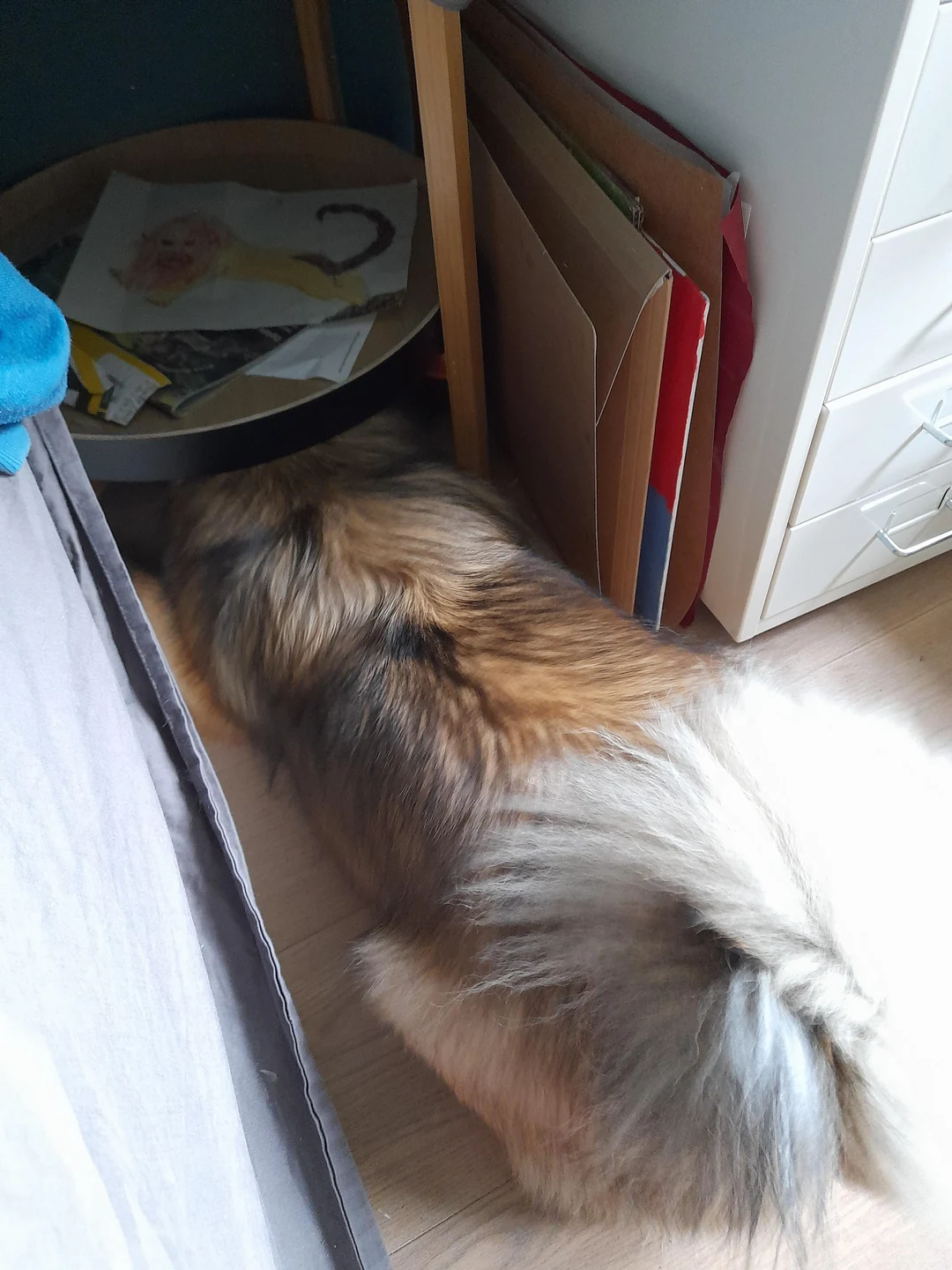 She just randomly walked in and put her head under there | Scrolller