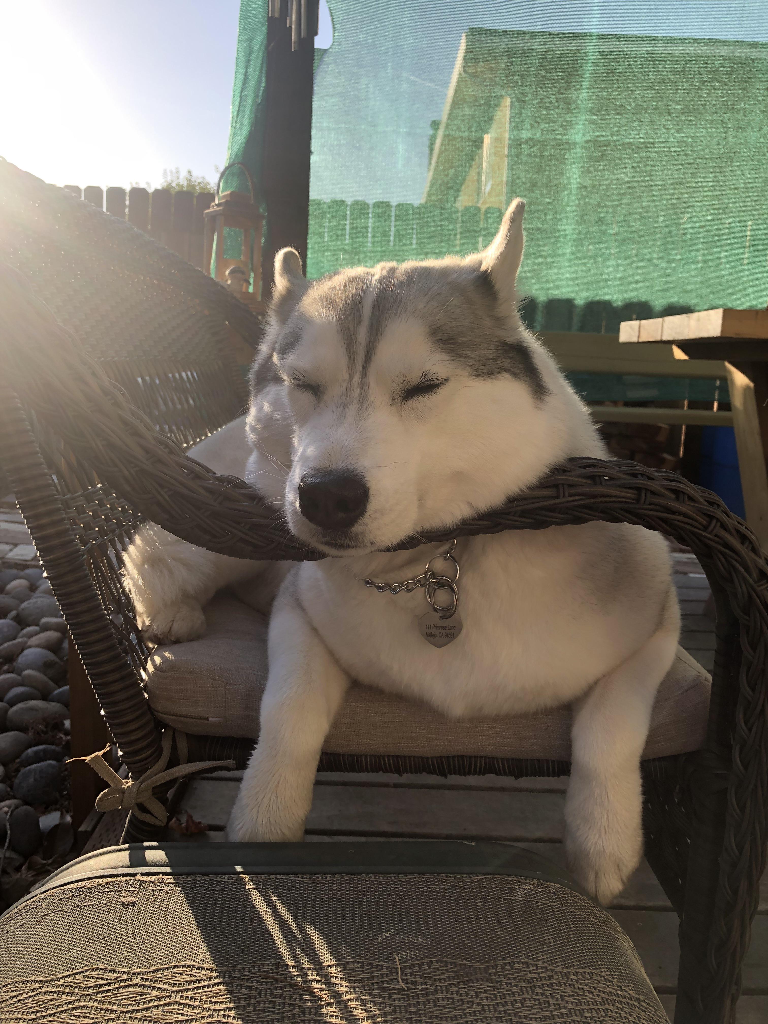 Way Too Much Drama, So, We Relax | Scrolller